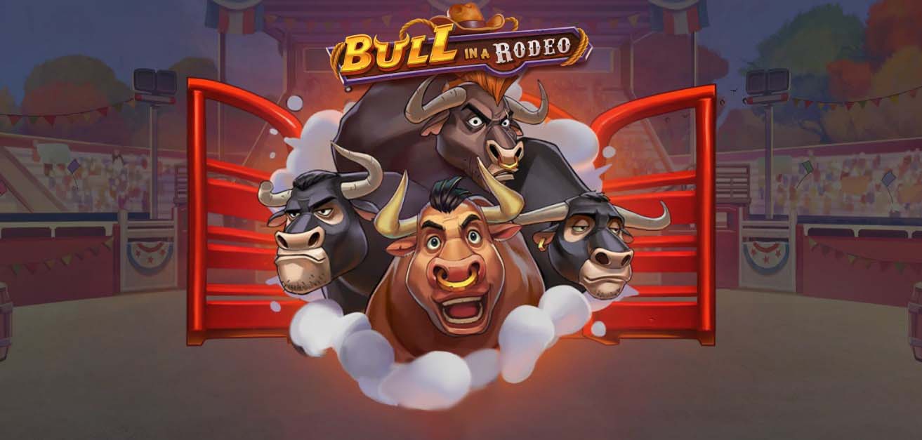 Bull in a Rodeo